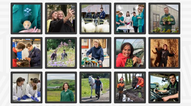 SRUC: Online Applications
